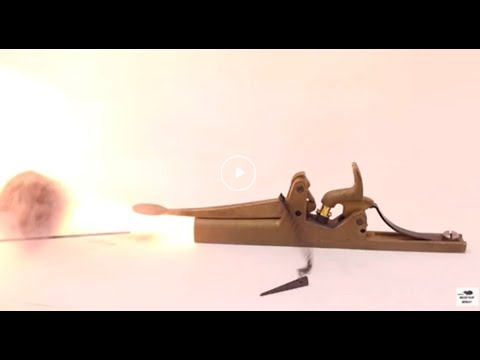 1862 MOUSE TRAP - YouTube
