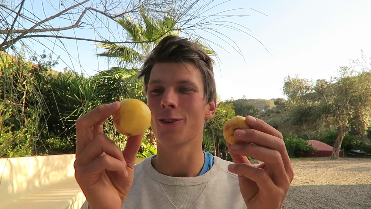 Taste every fruit - 42 - Guava - YouTube