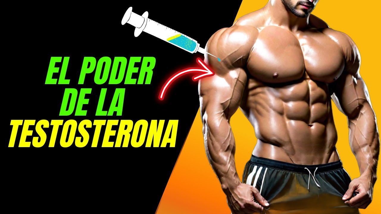 ¿Qué Hace la TESTOSTERONA en tu CUERPO? | Salud y Rendimiento - YouTube