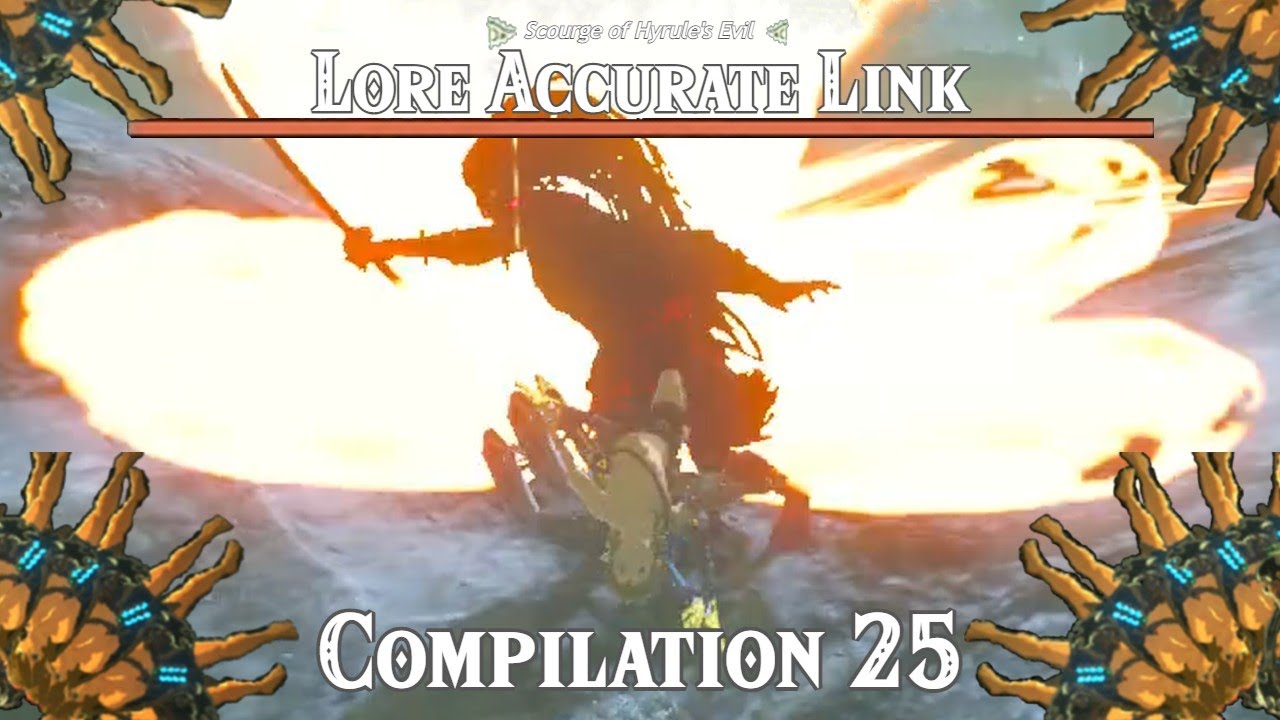 The Scourge of Hyrule's Evil: Lore Accurate Link Compilation 25 - YouTube