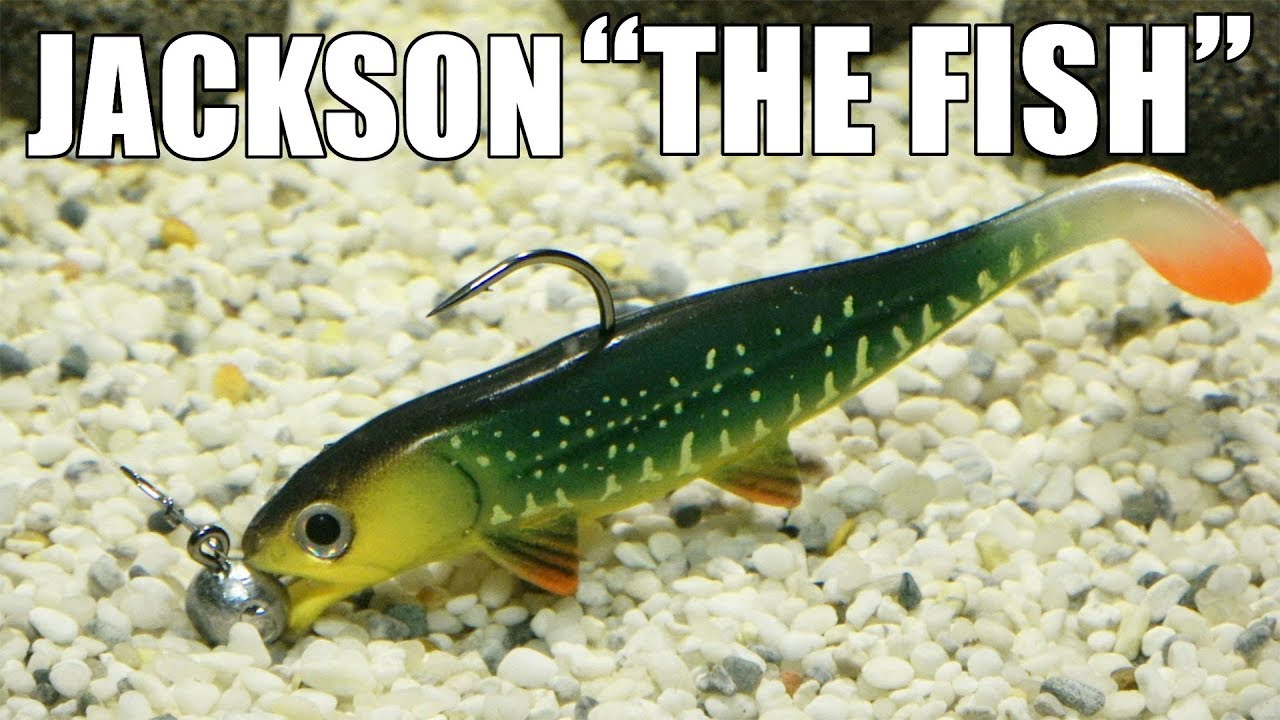 Jackson: The Fish! Lure action! Underwater! Full HD - YouTube