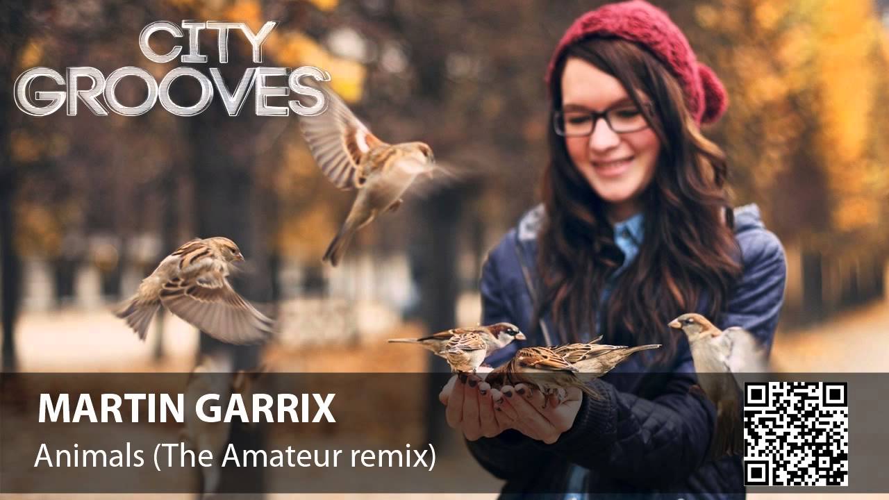 Martin Garrix: Animals (The Amateur remix) - YouTube