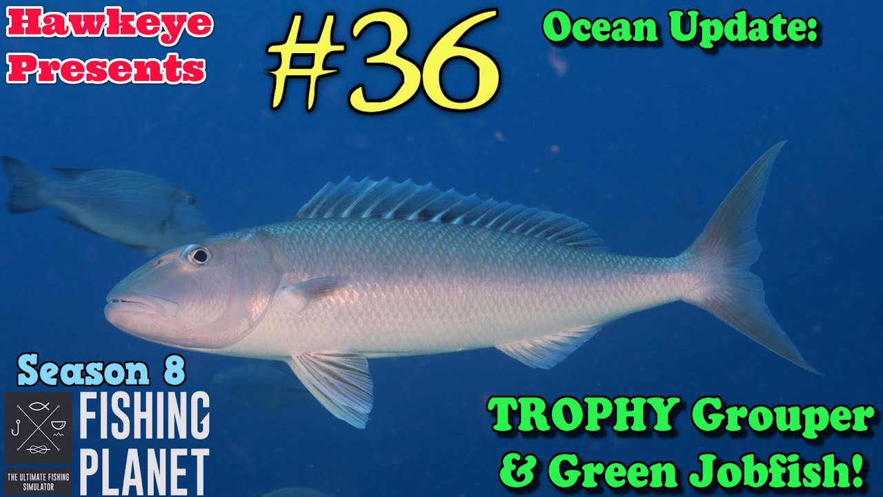 Fishing Planet #36 - S8 - Ocean Update: TROPHY Grouper & Green Jobfish ...