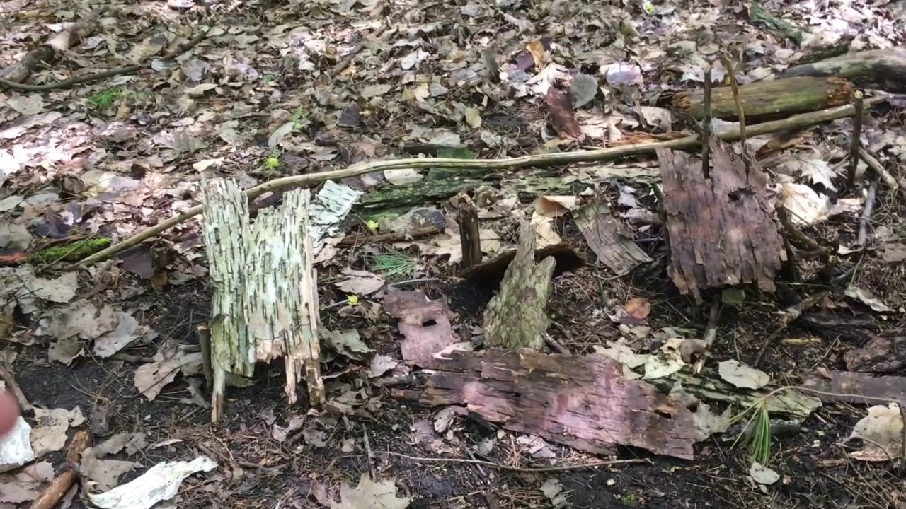 New Stick-Bark Garden and a Mylar Balloon! - YouTube