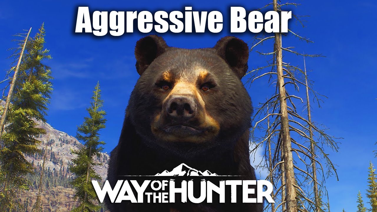 Way Of The Hunter - Aggressive Bear - YouTube