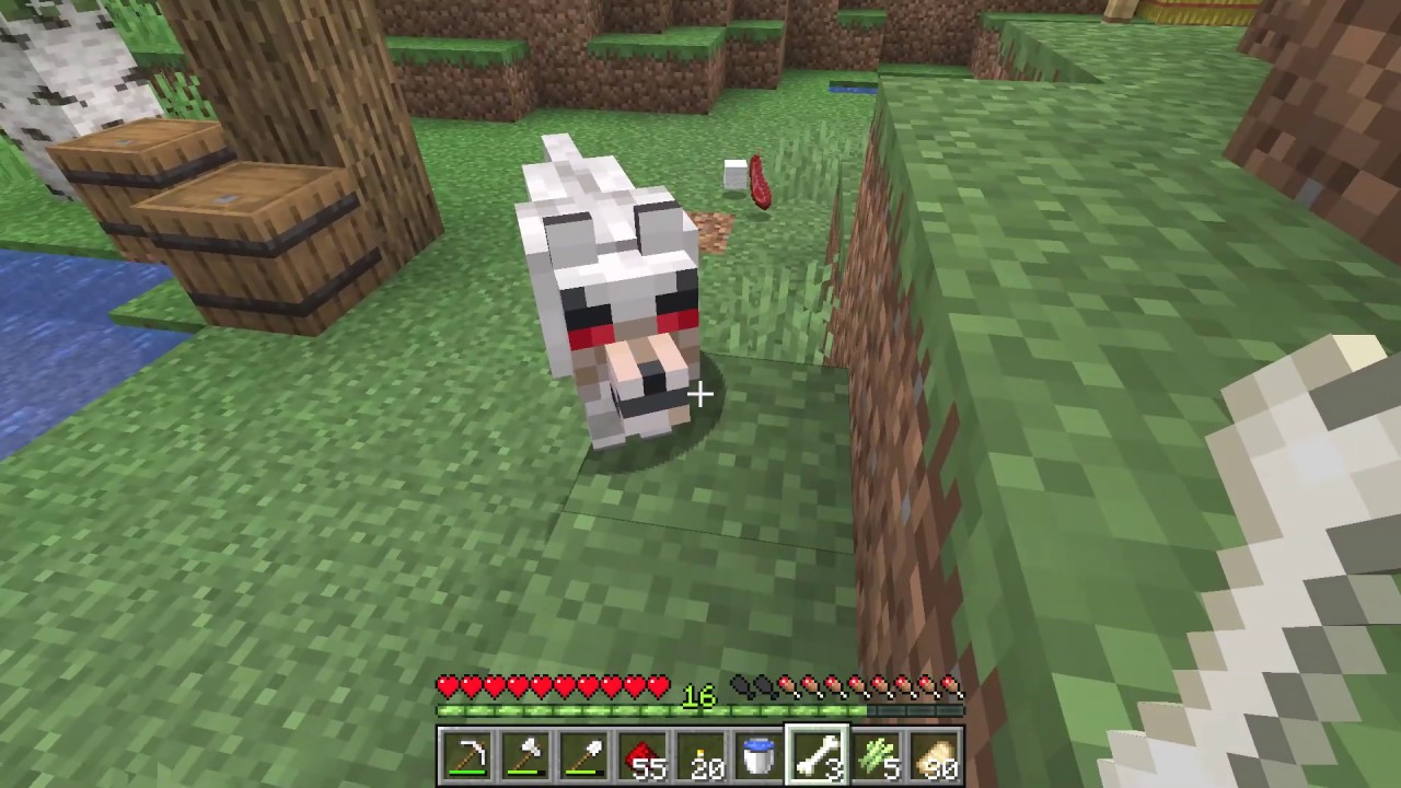 Is this the angriest dog ever discovered ? - Minecraft - YouTube