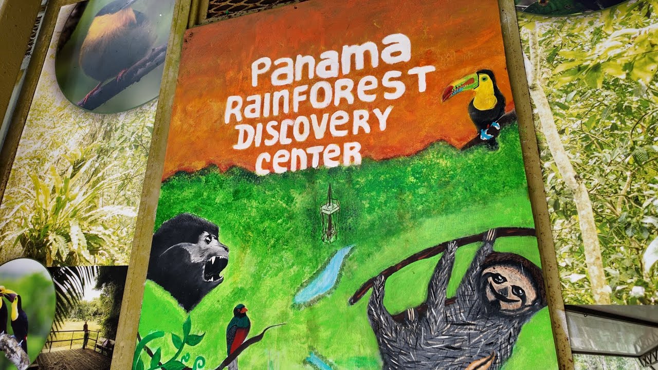 Panamá Rainforest Discovery Center. - YouTube