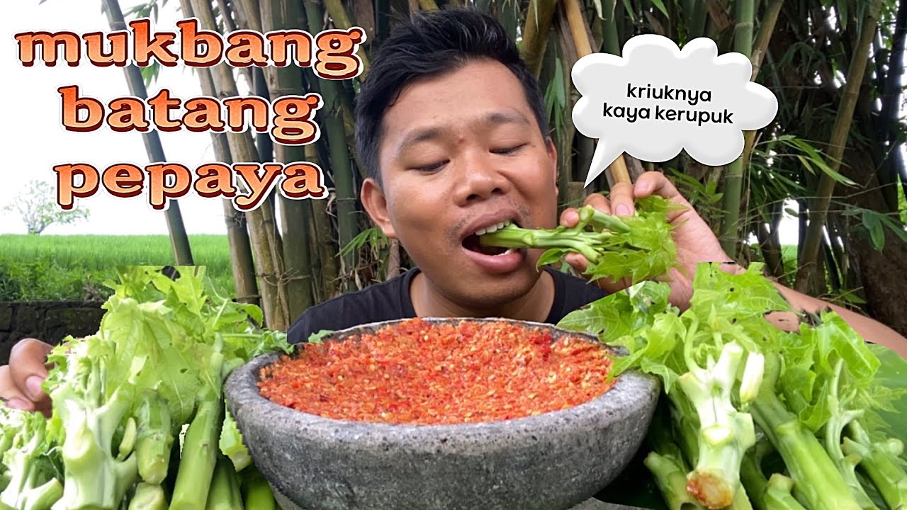 Mukbang Batang Pepaya Mukbang Lalapan Mentah Sehat Segar Mukbang