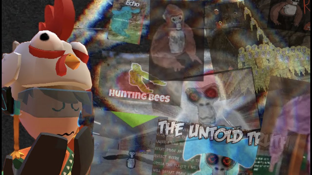 GTag with fans LIVE - YouTube