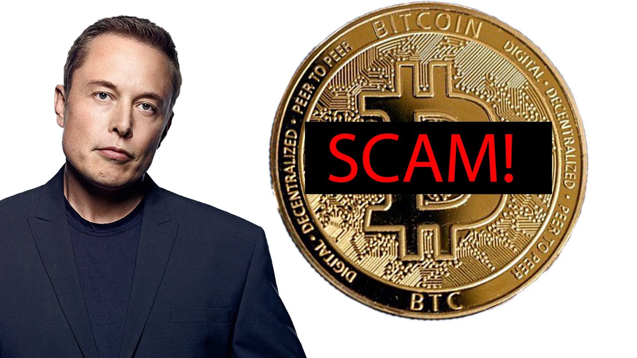 Elon Musk Crypto Scam: The Newest Social Media Crypto Scam - YouTube