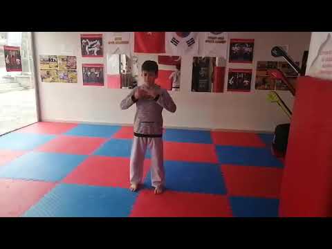Taekwondo Beyaz Kuşak 8' li Hareket