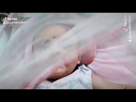 cute baby videos for whatsApp status