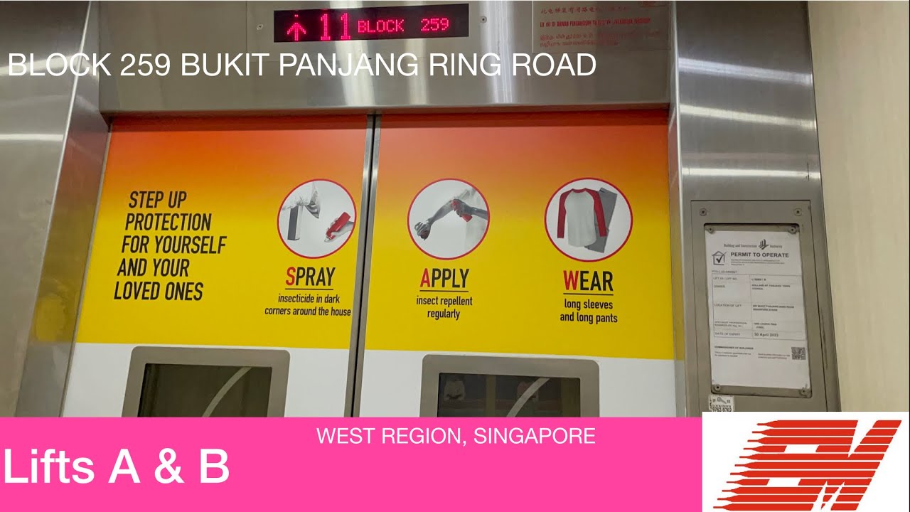 HDB Block 259 Bukit Panjang || EM Elevator (Lifts A & B) - YouTube