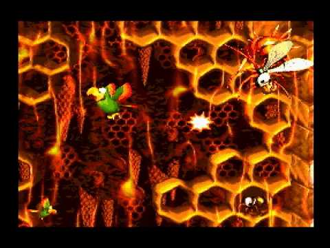 DKC2 King Zing Speedrun - 55.69 - YouTube