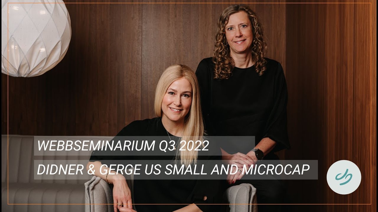 Kvartalsmöte med Didner & Gerge US Small and Microcap – 3:e kvartalet ...