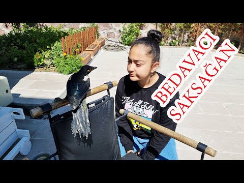 EVİMİZDE KİRA ÖDEMEDEN YAŞIYOR / KALDI BAŞIMIZA