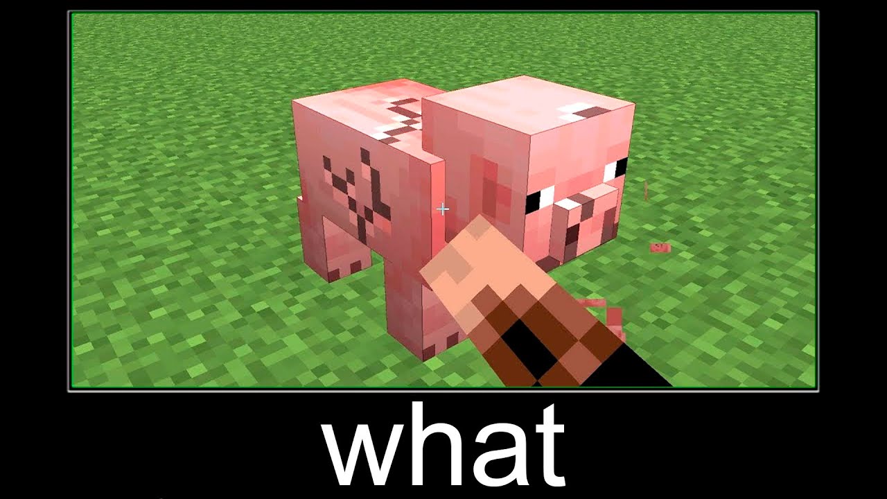 Minecraft what meme part 1 (cursed pig) - YouTube