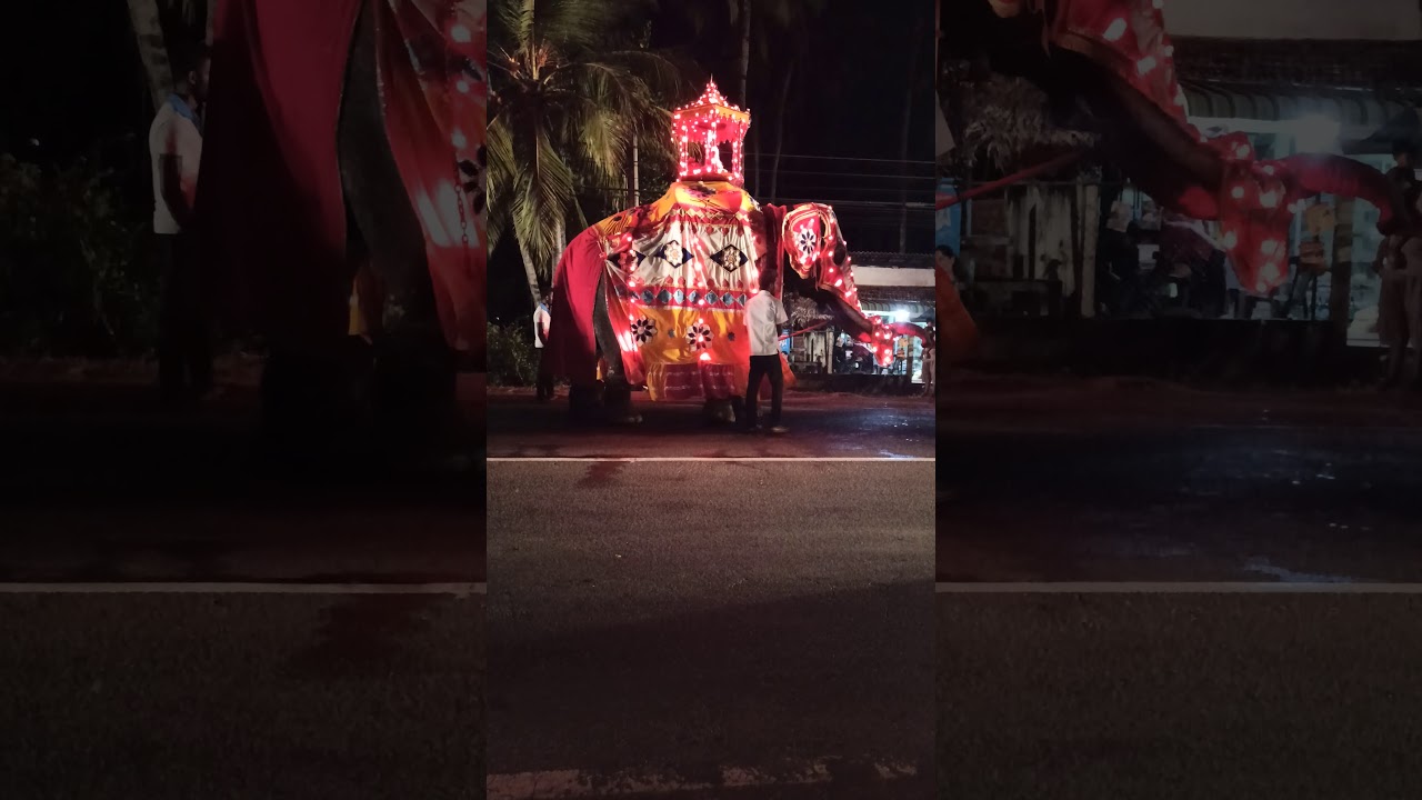 Punchi කතරගම පෙරහරේ සොඳුරු දසුන් - YouTube