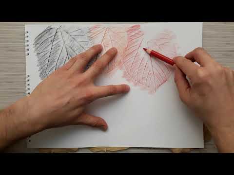 Doku Çalışması - Doku transfer çalışması