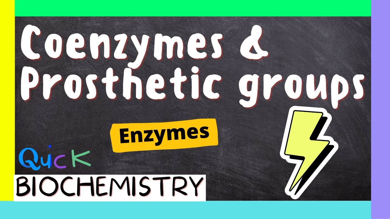 Cofactor & Prosthetic groups || Enzymes || Biochemistry || MBBS 1st ...