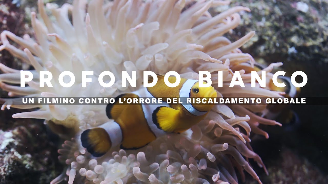 Profondo Bianco - Un filmino contro l'orrore del riscaldamento globale ...