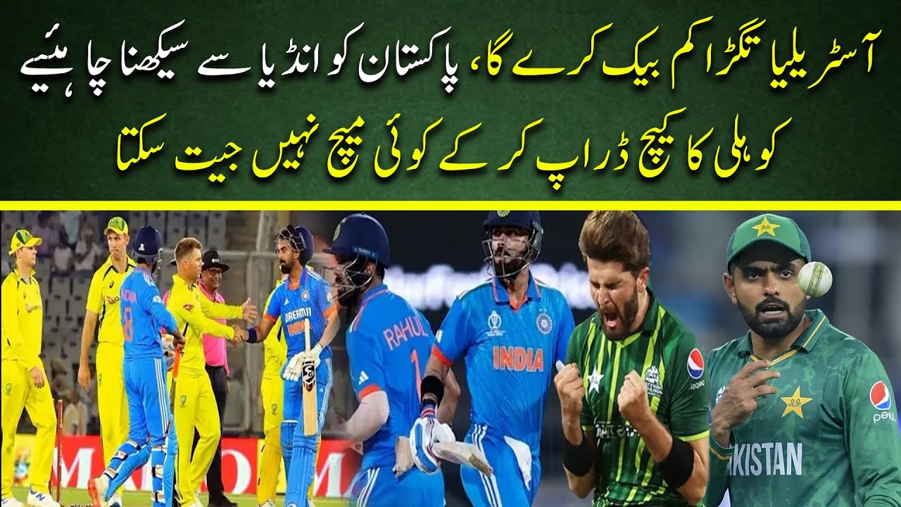 Pakistan should learn from India - Cricket Pakistan | Kohli catch drop ...