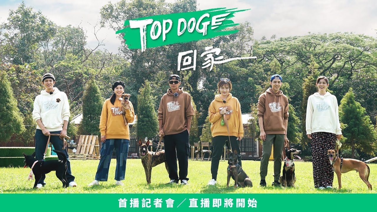 【直播完整版】🐶全台首部真人寵物實境節目《TOP DOG 回家》明晚首播！｜三立新聞網 SETN.com - YouTube
