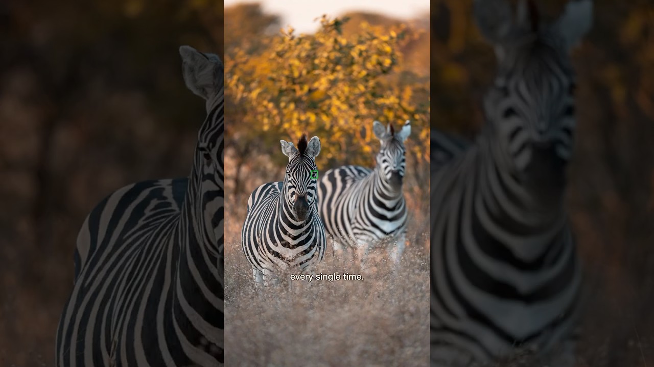Alpha 7R V: Take Your Wildlife Photography to the Next Level!
