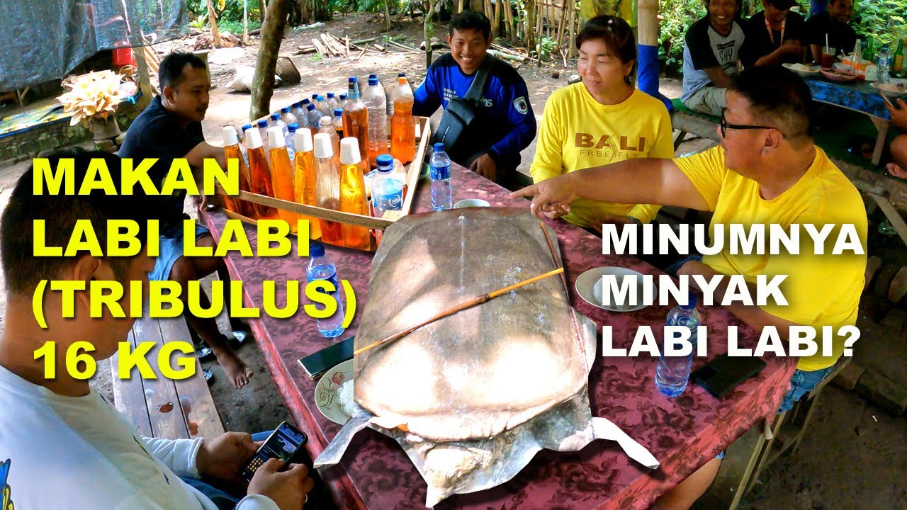 MINYAK LABI LABI DAN OLAHAN LABI LABI ENAK DI TABANAN - YouTube