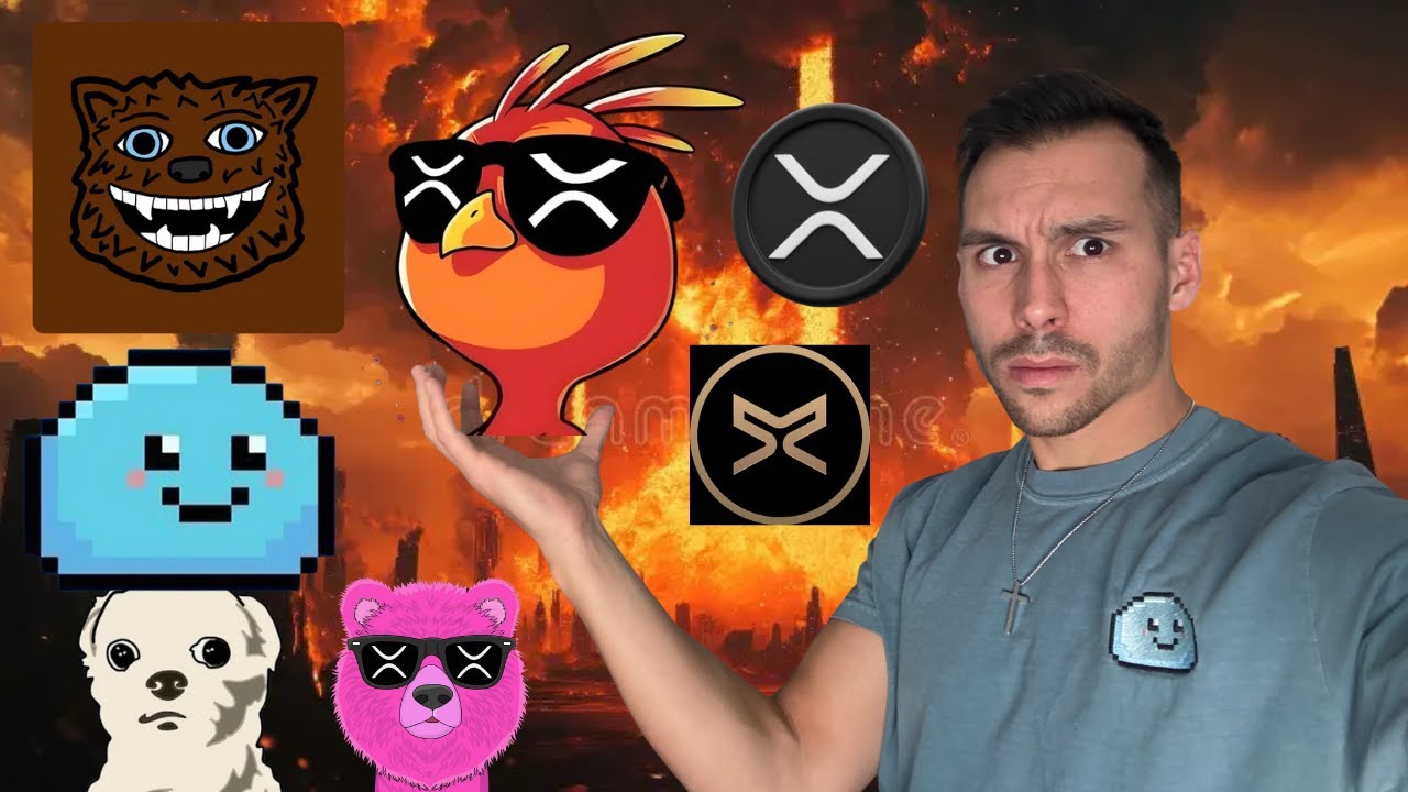 XRP Meme Coins are RISING from the ASHES! $PHNIX $DROP $FUZZY $ARMY ...