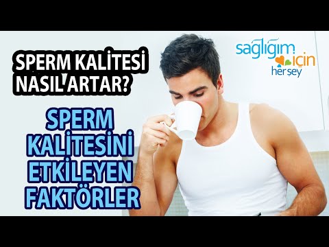 Sperm Kalitesini Arttırmanın Yolları