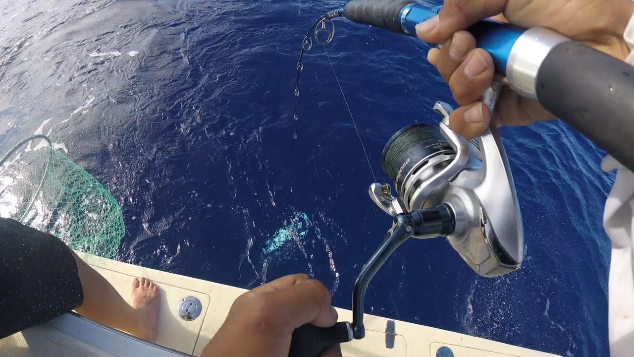 Fisherman’s Playground | Tuna Jigging and Bottom Fishing Hawaii ...