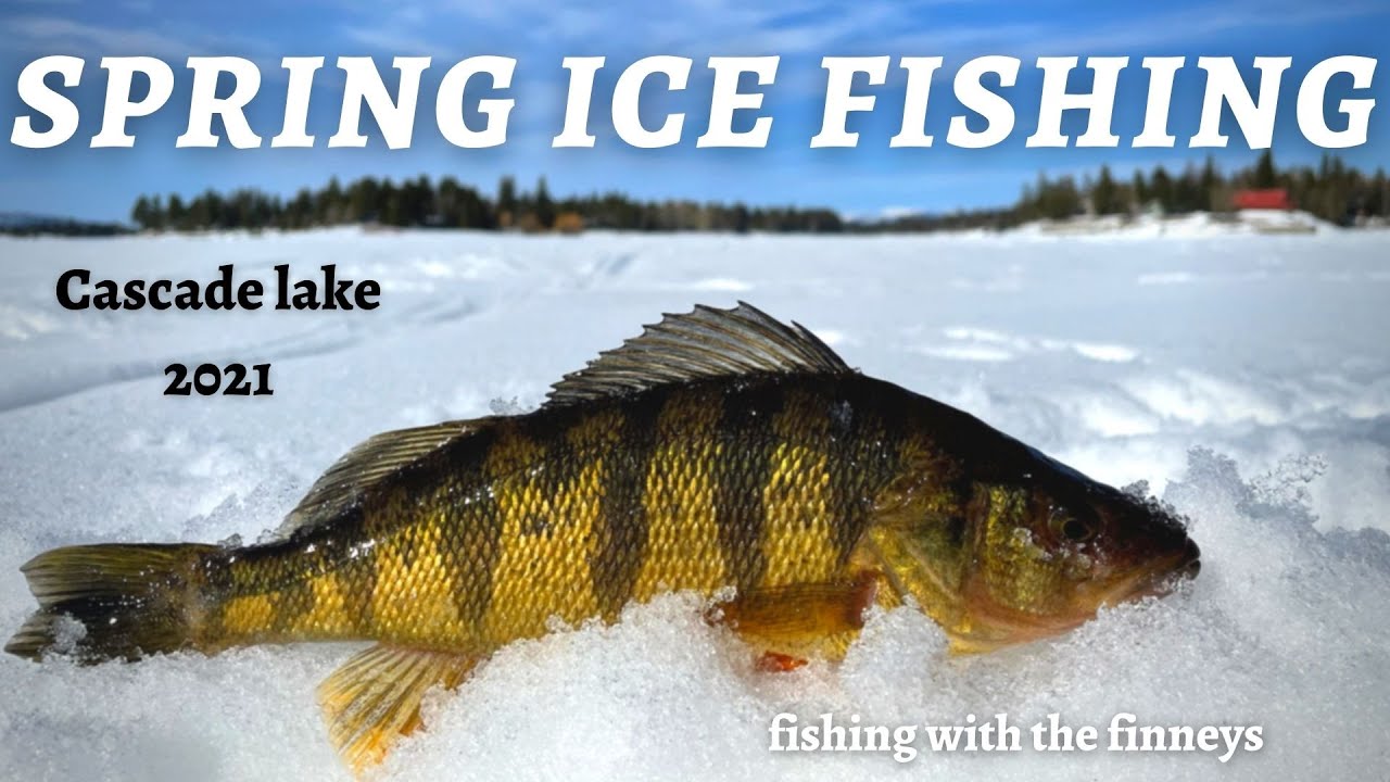 Spring Ice Fishing 2021 | The Finneys Fam running a muck on Lake ...