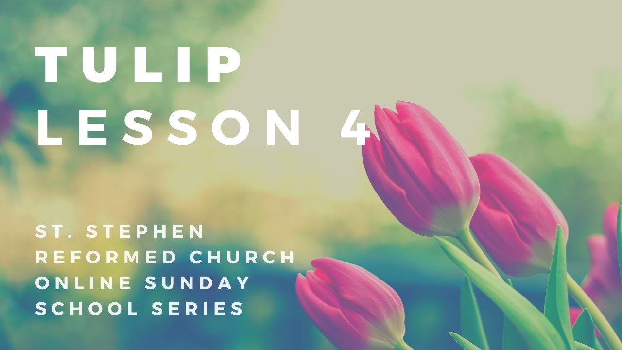 Live Online Sunday School TULIP Lesson 4 - St. Stephen Reformed Church ...
