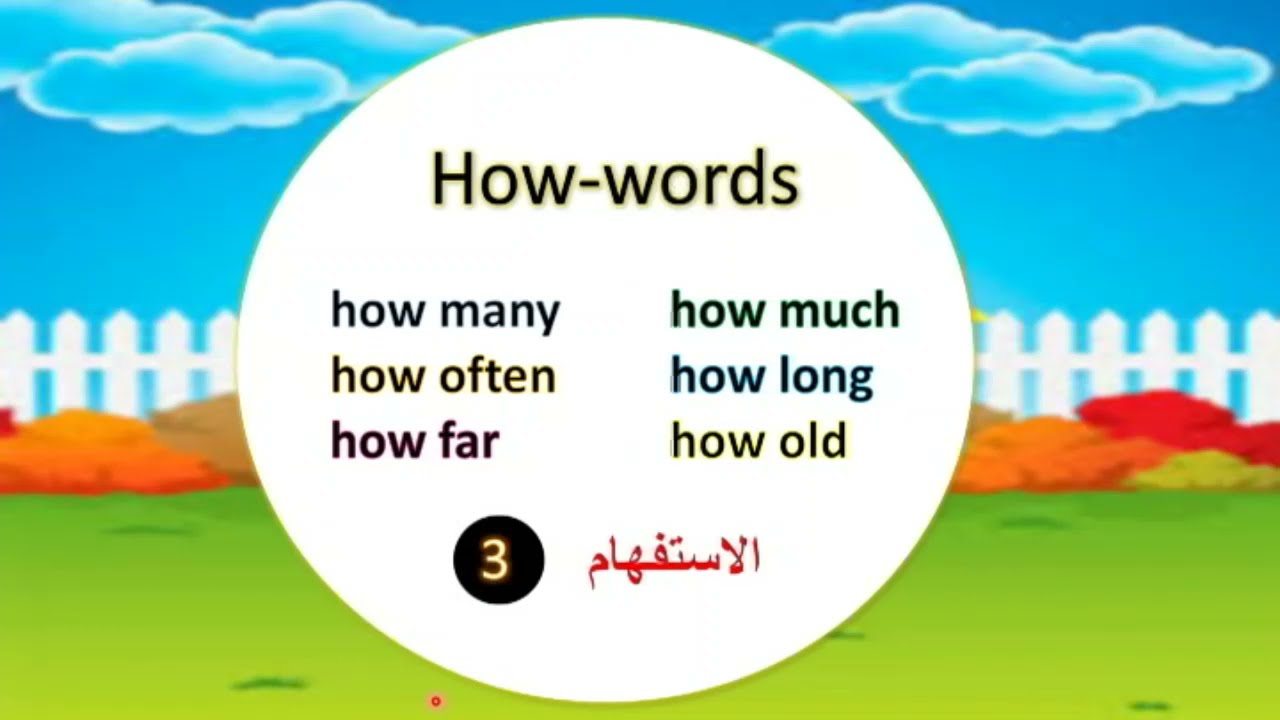 Questions Using HOW Words How Old How Much How Long How Far Questions Using HOW Words How Old How Much How Long How Far