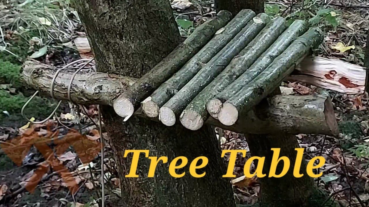 Bushcraft Tree Table in the Woods #bushcraft #survival - YouTube