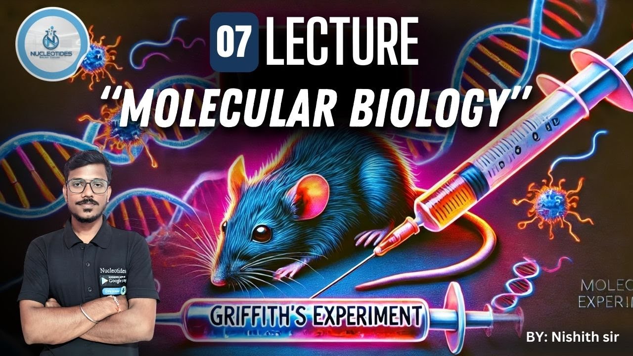 GRIFFITH'S EXPERIMENT || MOLECULAR BIOLOGY-07 - YouTube