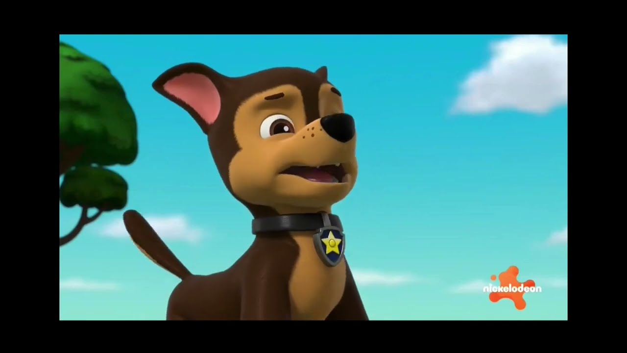 Paw Patrol Chase Sneezing Compilation (Season 10) - YouTube