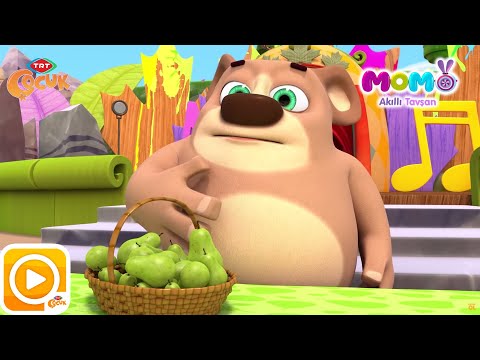 Akıllı Tavşan Momo | Armut Şenliği