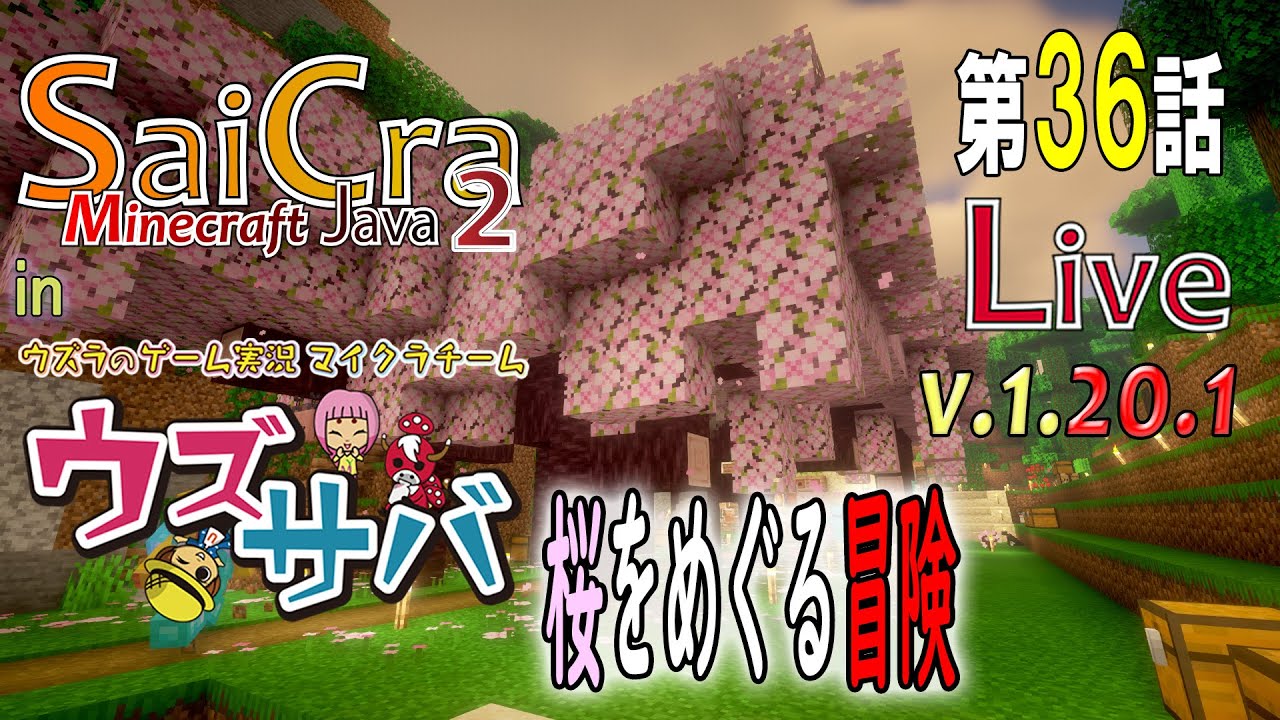 【SaiCra】【ウズサバ】Minecraft Java Live 第36話 桜をめぐる冒険 - YouTube