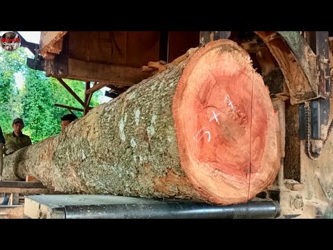Amazing, the skill of a skilled operator when sawing a seven-meter long ...