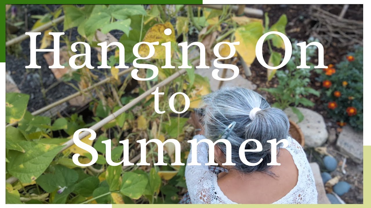 Hanging on to Summer - YouTube