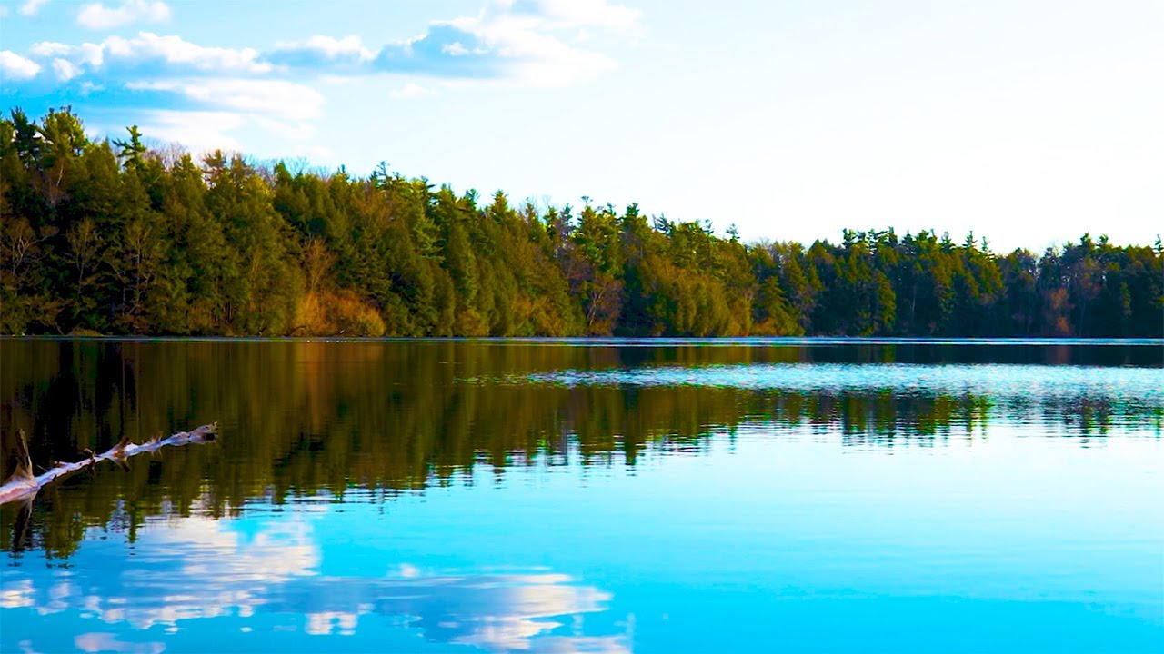 Relaxing Piano Music and Calm Lake Sounds: Sleep Music, Stress Relief ...