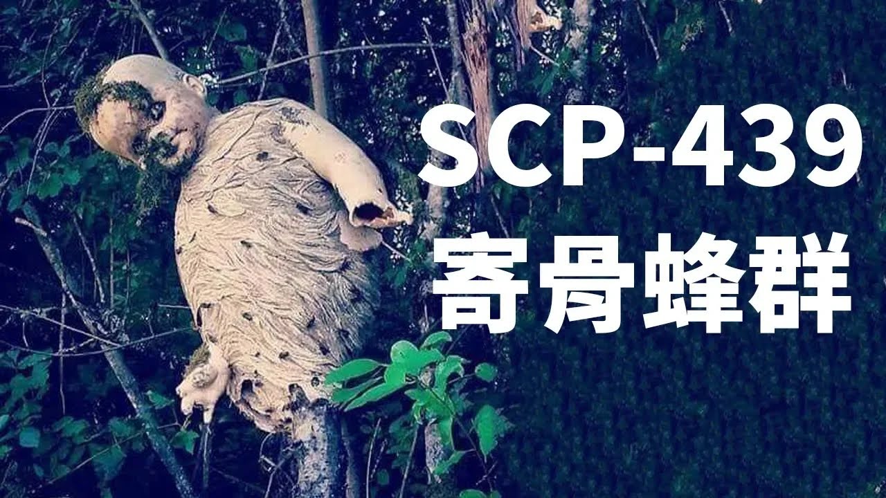 【SCP基金會】SCP 439 寄骨蜂群 - YouTube