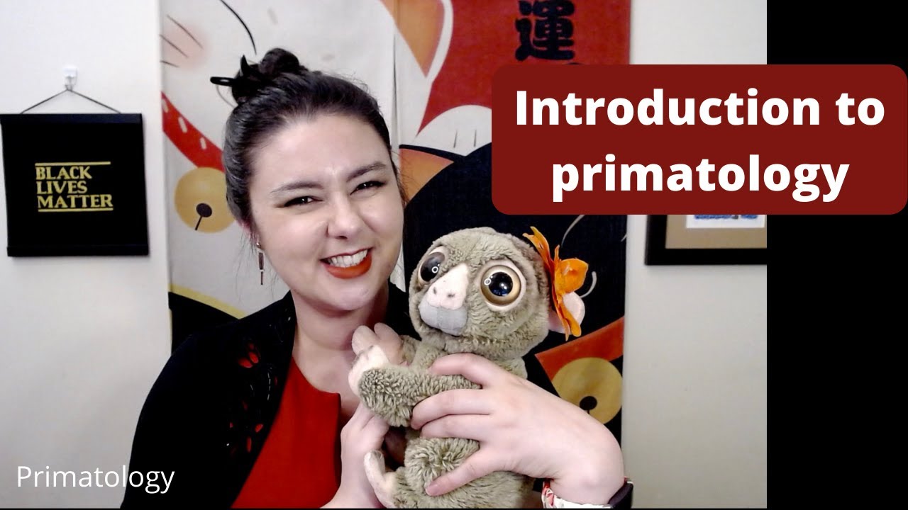 Introduction to primatology - YouTube