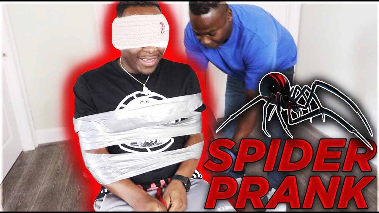 EXTREME SPIDER PRANK | THE PRINCE FAMILY - YouTube
