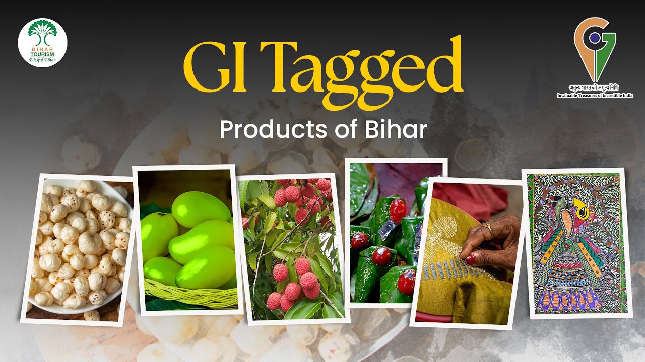 Bihar’s Pride: Exploring the Famous GI Tags | Shahi Litchi, Madhubani ...