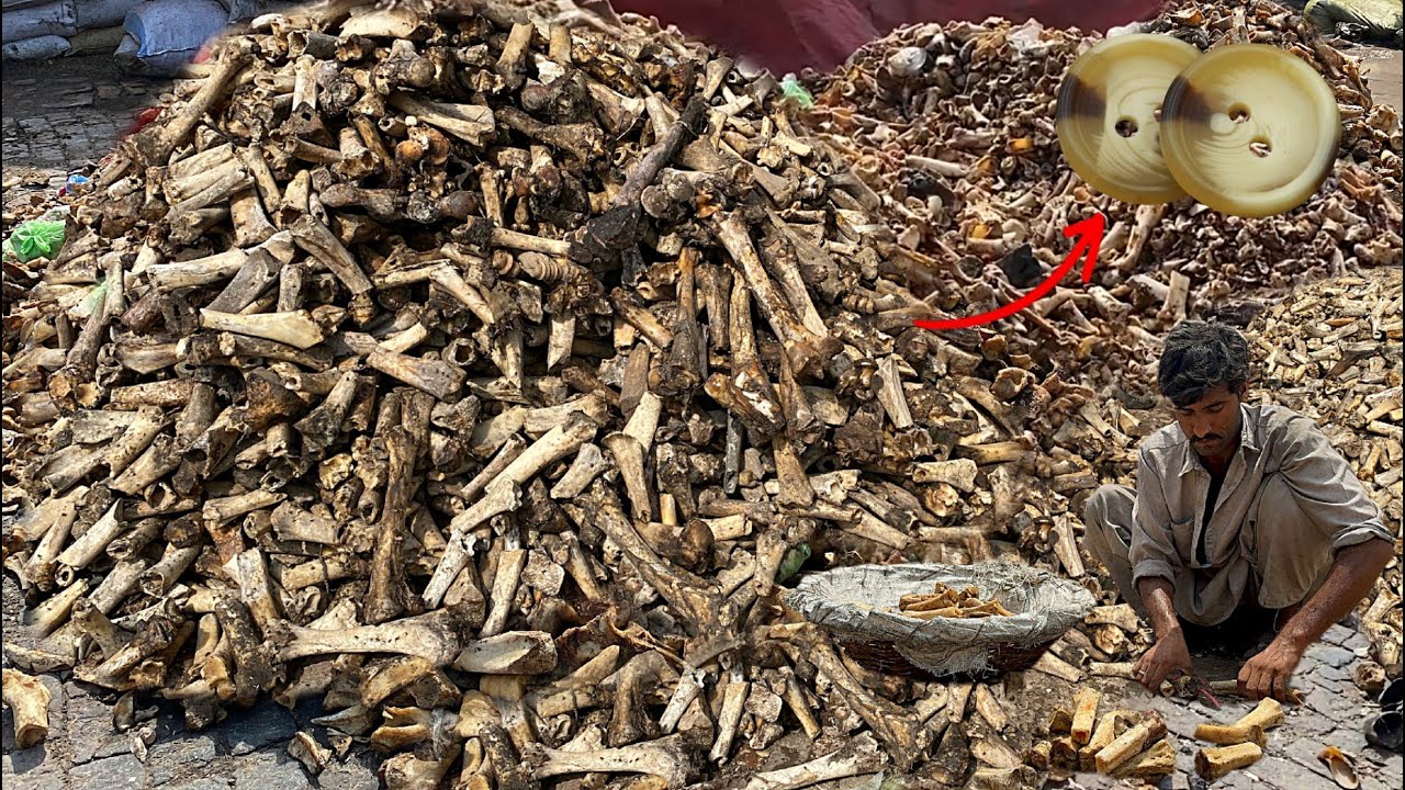 Incredible Process of Recycling Animal Bones and Manufacturing Bone ...