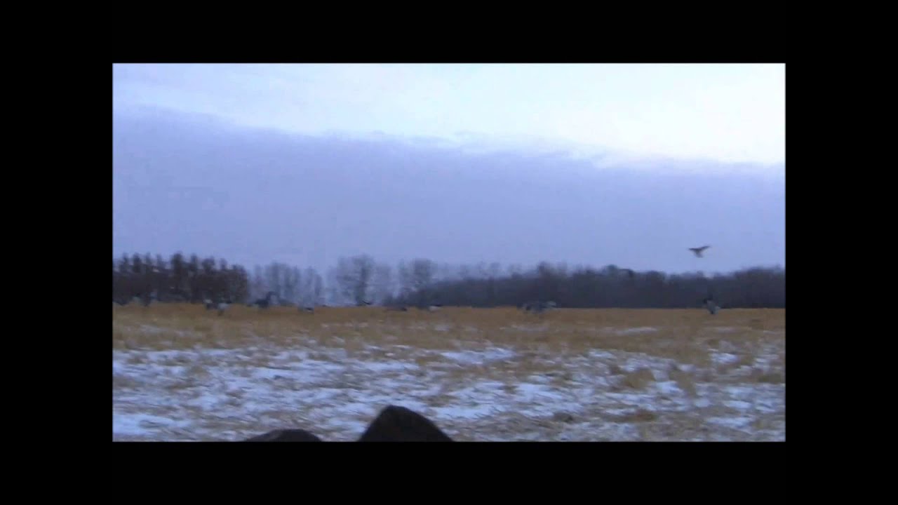 3 Day Hunting Trip In Alberta! - YouTube