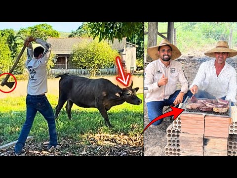ABATEMOS UMA NOVILHA E FIZEMOS CHURRASCO 😱